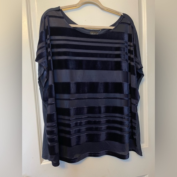 Simply Emma | Tops | Simply Emma 3x Blue Boxy Short Sleeve Velour Top ...